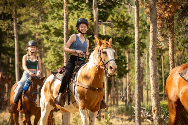 A Thousand Summers | Homepage